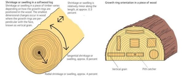 Shrinkage, expansion, and warping due to moisture changes in wood