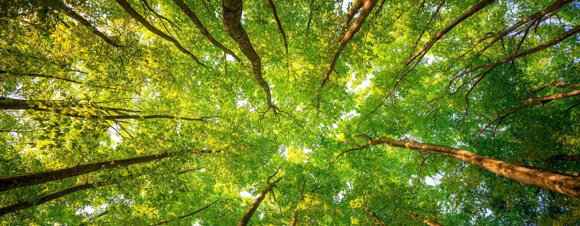 Vacuum wood drying kiln - swwooddryer